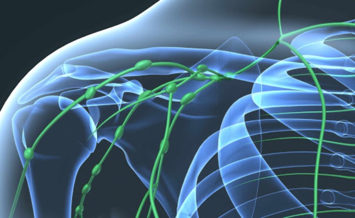 ¿Qué es la biopsia de ganglio centinela? | Blogs Quirónsalud
