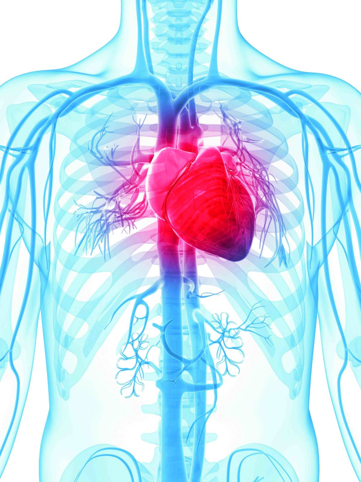 El marcapasos, un seguro para tu corazón | Blogs Quirónsalud