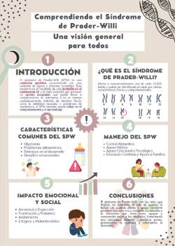 Comprendiendo el Síndrome de Prader-Willi: Una visión general para ...