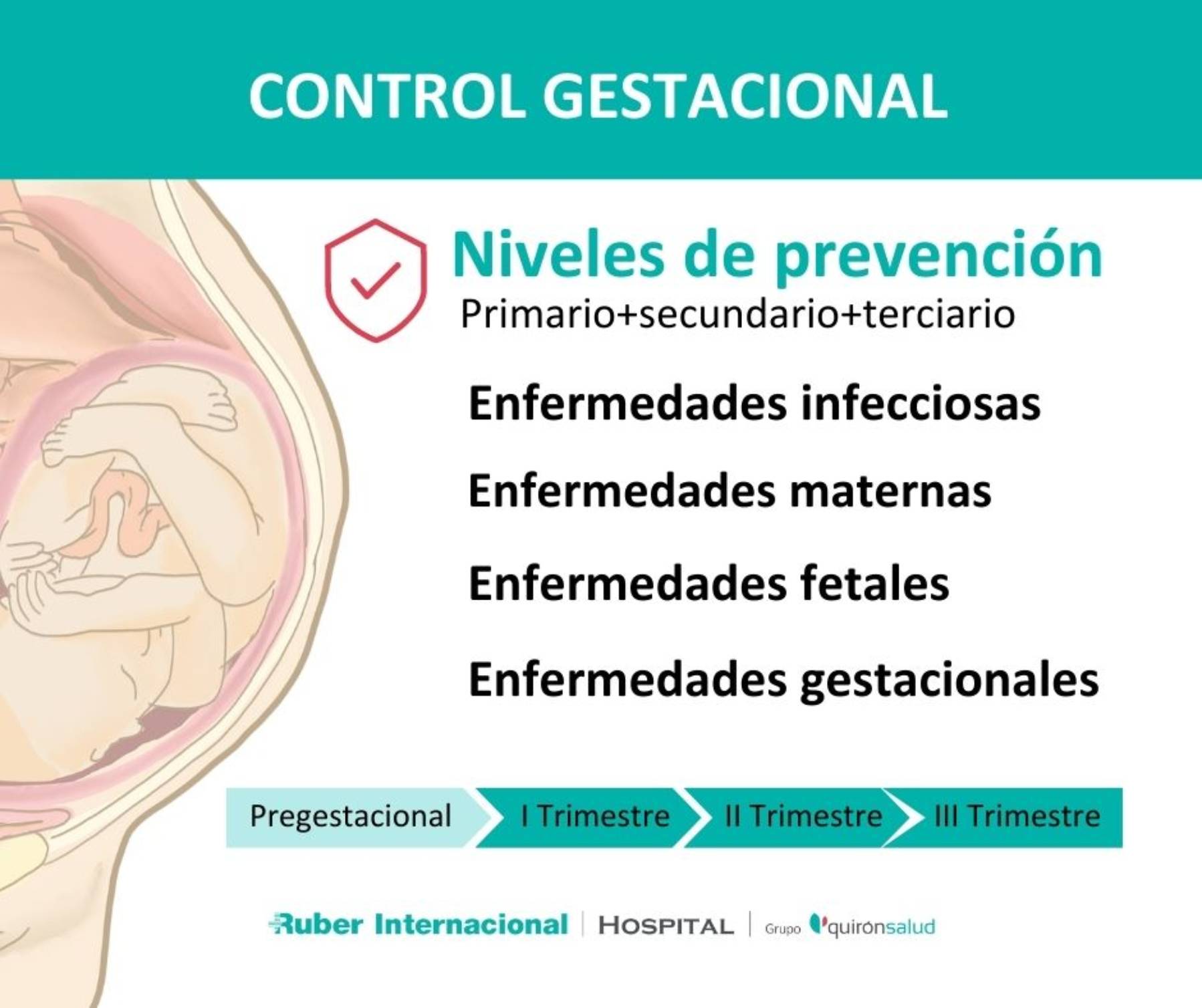 Control prenatal: avances en el cribado de enfermedades del embarazo