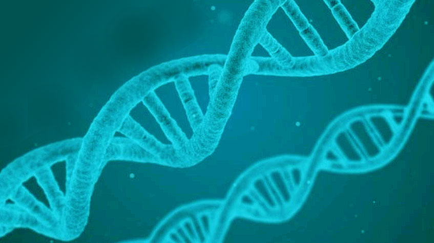 Genética y dieta en anorexia y bulimia nerviosa | Blogs Quirónsalud