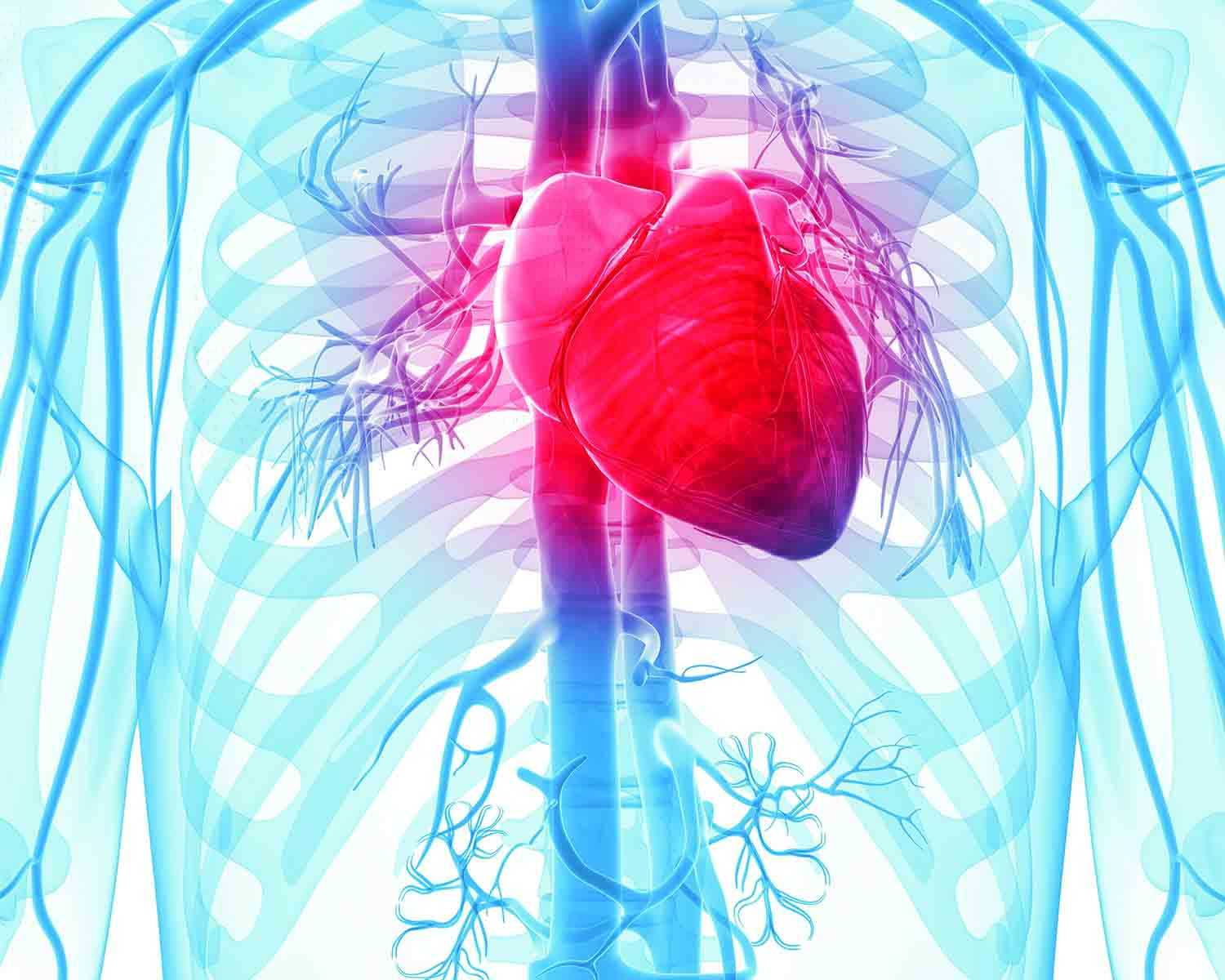 Qué es una arritmia cardíaca, lo que tienes que saber | Blogs Quirónsalud